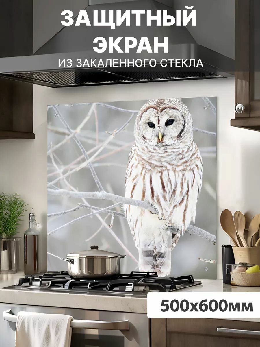 Защитный экран от брызг на плиту 600х500х4мм. Стеновая панель для кухни из закаленного стекла. Фартук для кухни на стену