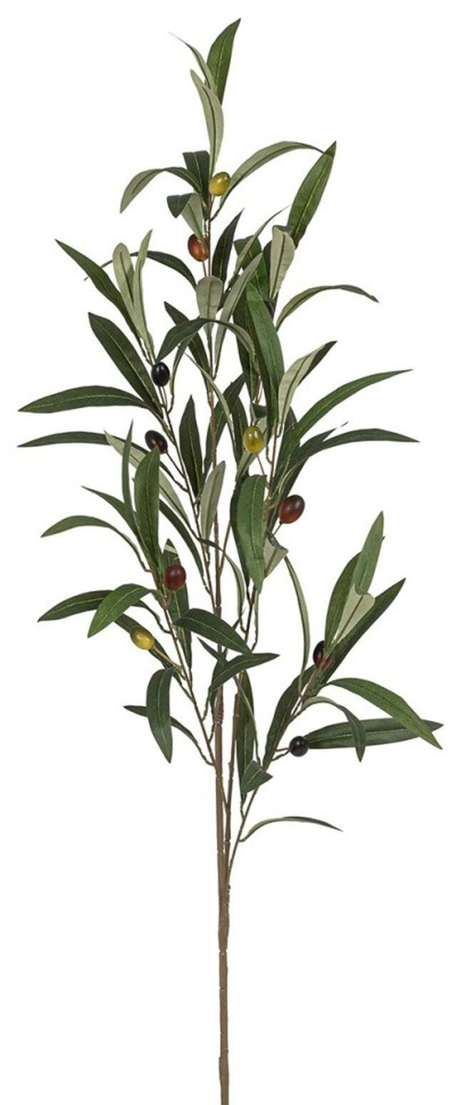 Fiebiger Floristik 162721-809 Ветка декоративная "Олива", 117 см
