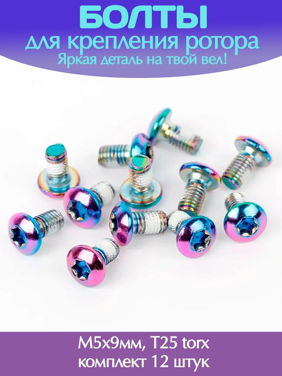 Комплект болтов для тормозного диска велосипеда / 12 штук M5x9, цвет Oil Slick