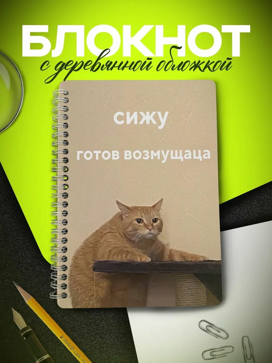 Блокнот Мем с котом, готов возмущаца