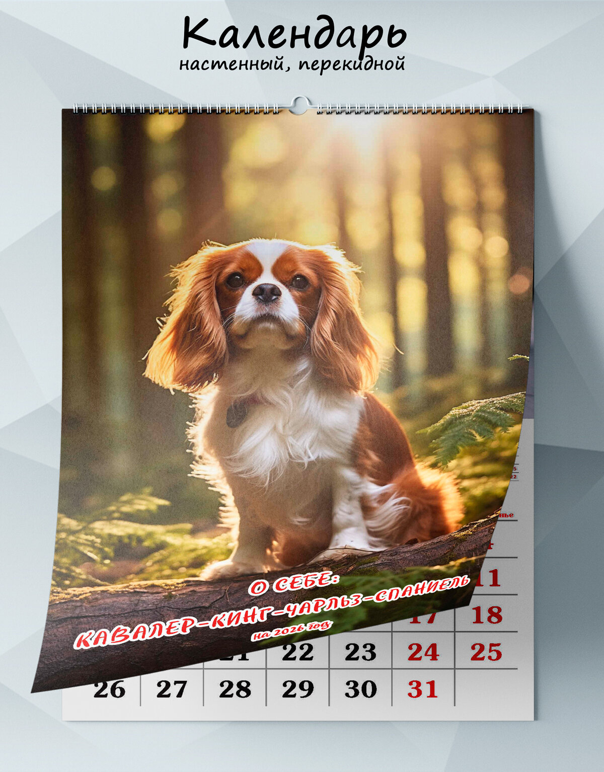 Календарь настенный, перекидной О себе: Кавалер-кинг-чарльз-спаниель на 2026 год