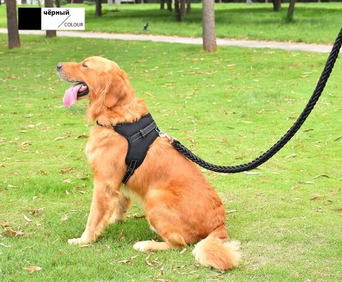 Поводок для собак среднего размера, большая шлейка для собак, набор цепей для ошейника