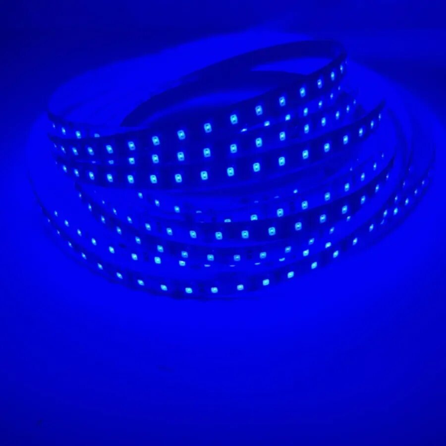 AvvRxx Светодиодная лента 120 светодиодов/м DC12V 24V теплый белый Голубой, Blue, 5m, DC12V