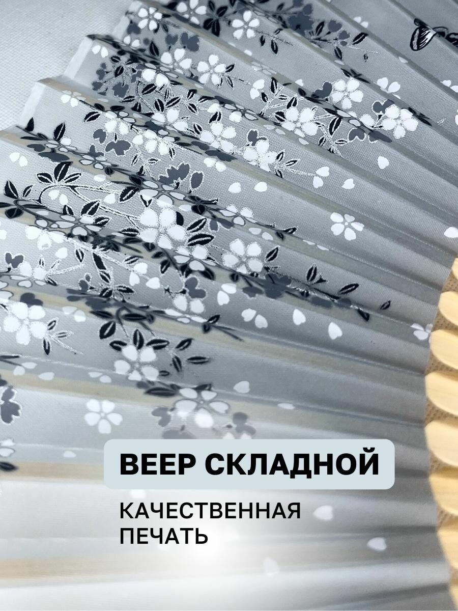 Веер — фото 1
