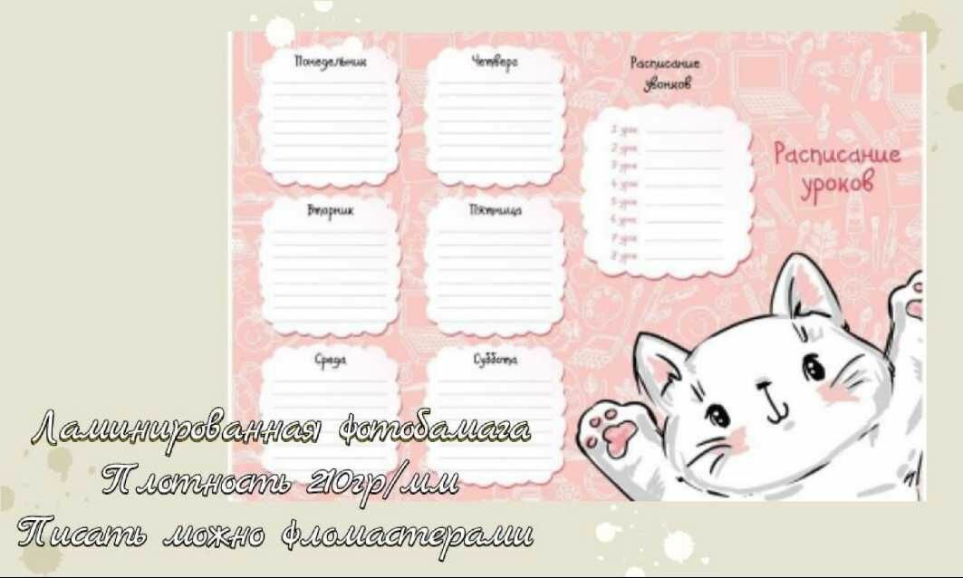 Многоразовое расписание уроков, формат А4, кошечка, светло-розовый
