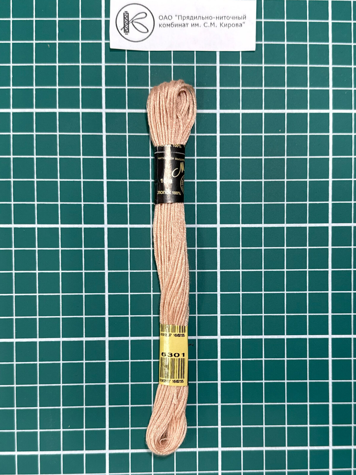 Нитки вышивальные Мулине 10м, цвет: 6301, ПНК им. Кирова