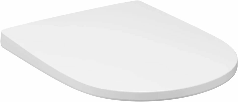 Сиденье для унитаза Roca Ona A801E12001 с микролифтом, белый