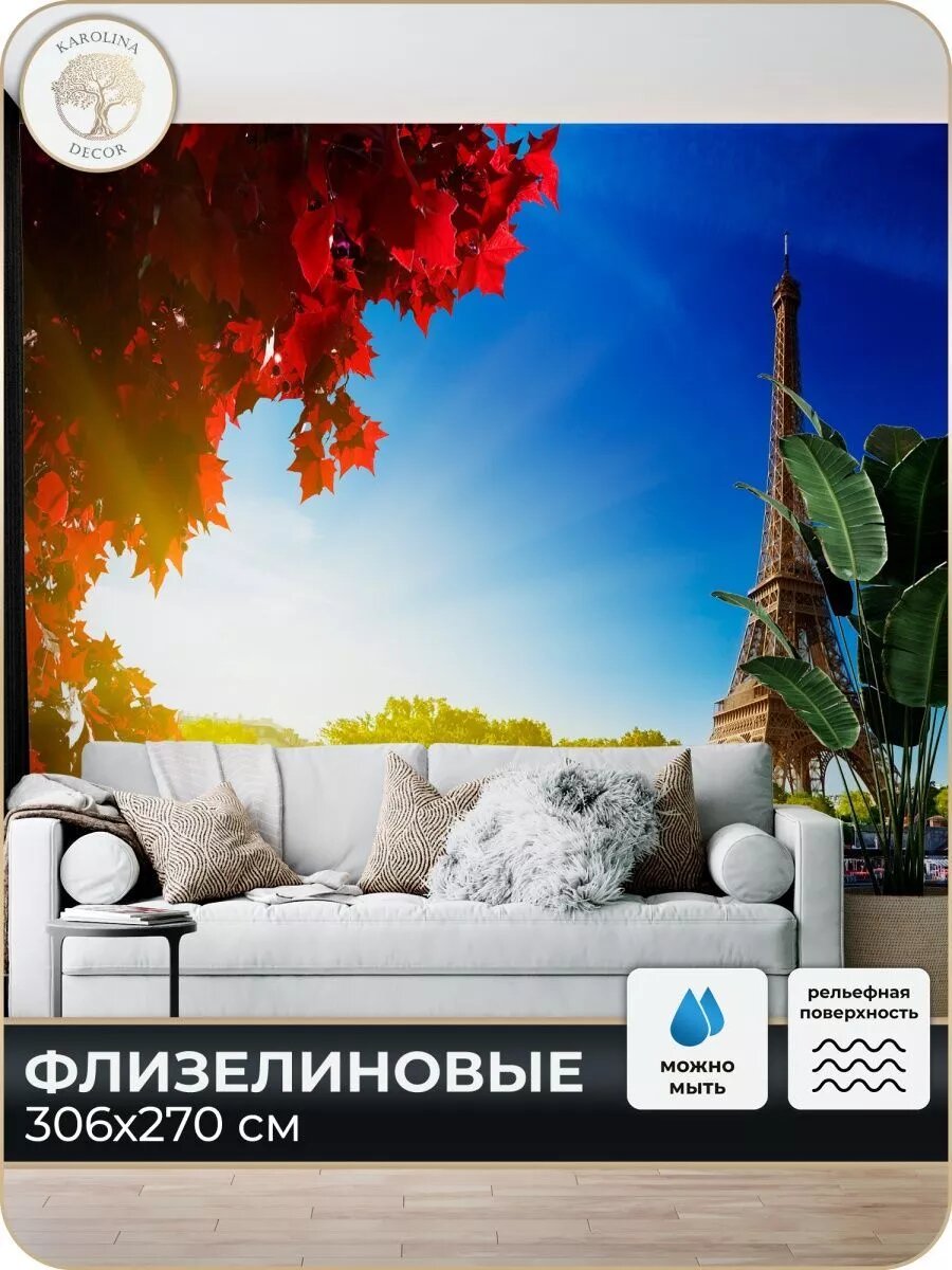 Фотообои Париж в детскую в спальню на кухню 300х270