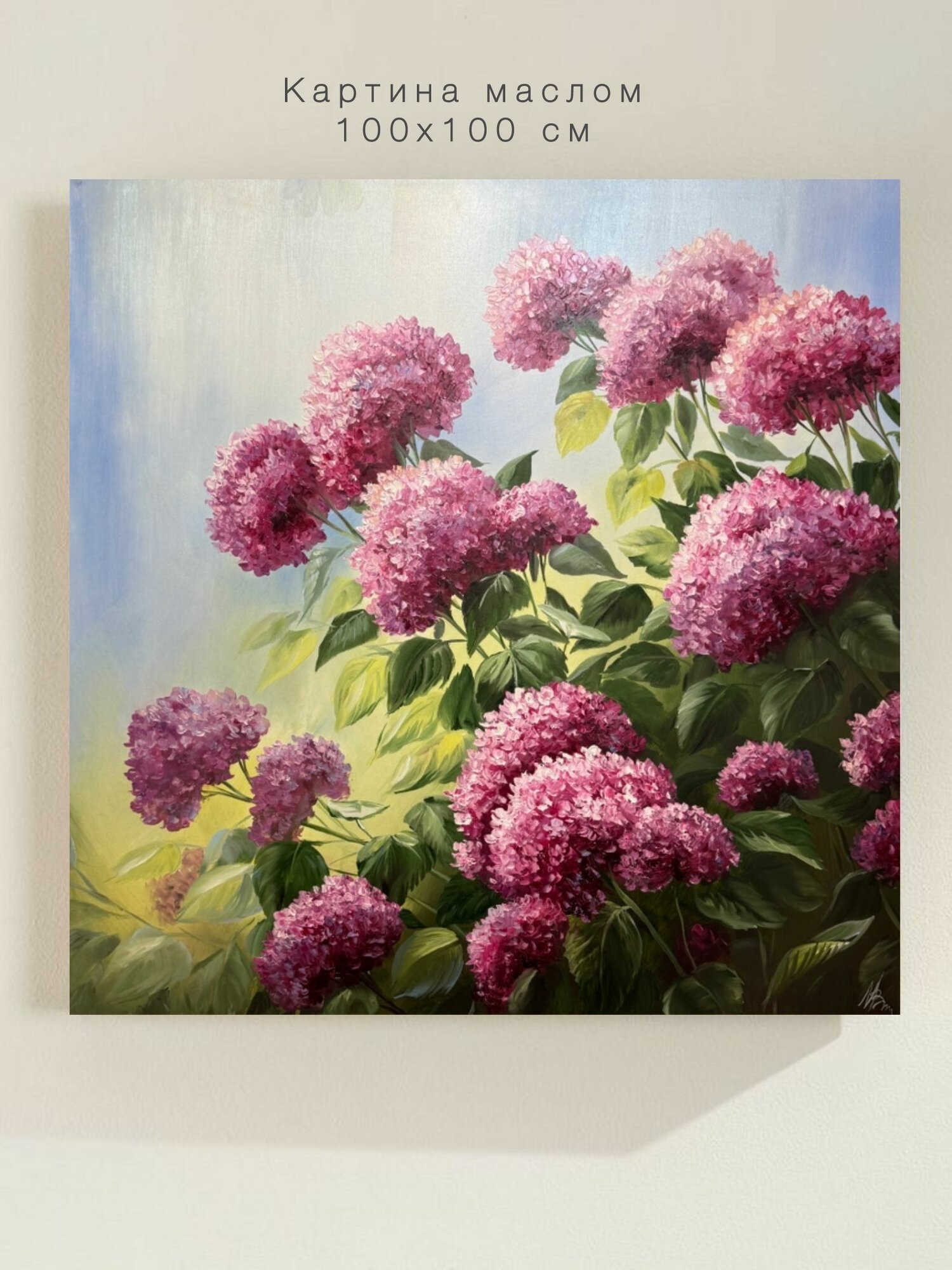 Большая картина маслом розовые Гортензии 100х100 см. 100% ручная работа. Художественная мастерская Грёзы.