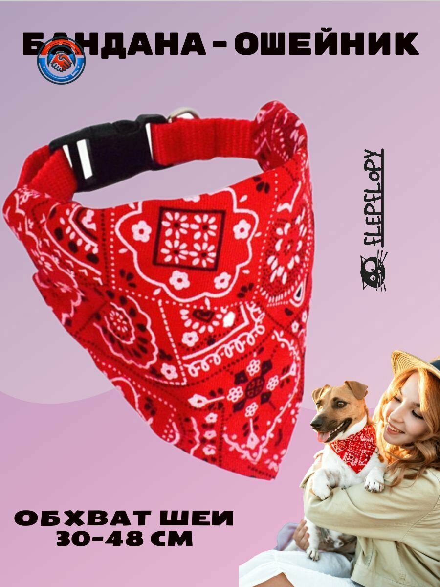 Ошейник для собак съёмная бандана регулируемый 30-48 см, стильный аксессуар из плотной стропы, быстрая застёжка и стальное кольцо для поводка