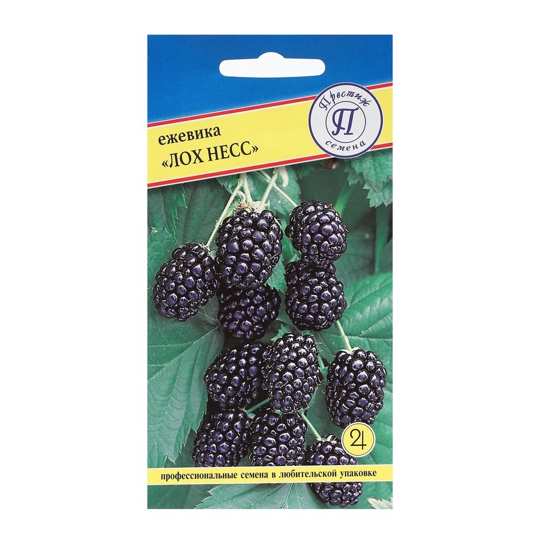 Семена Престиж семена Ежевика ремонтантная "Лох Несс", 10 штук