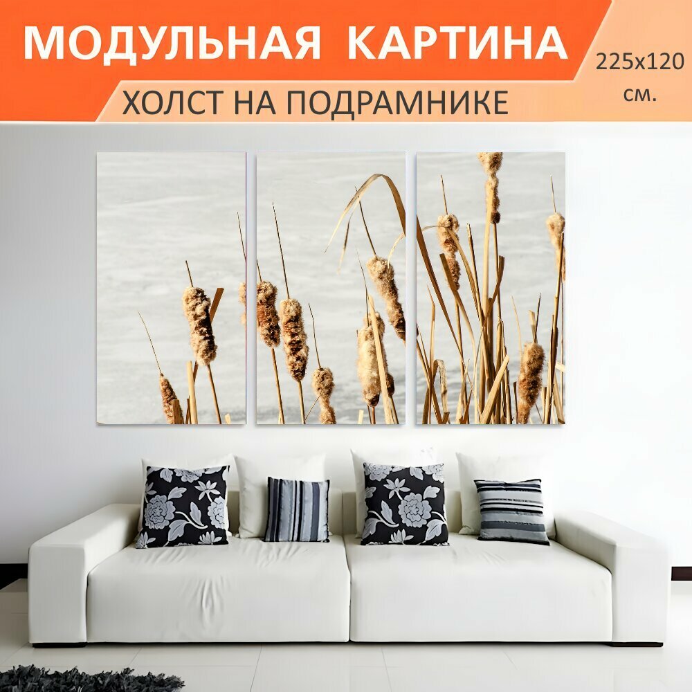 Модульная картина на холсте "Рогоз, камыши, растения" триптих на подрамнике 225х120 см. для интерьера