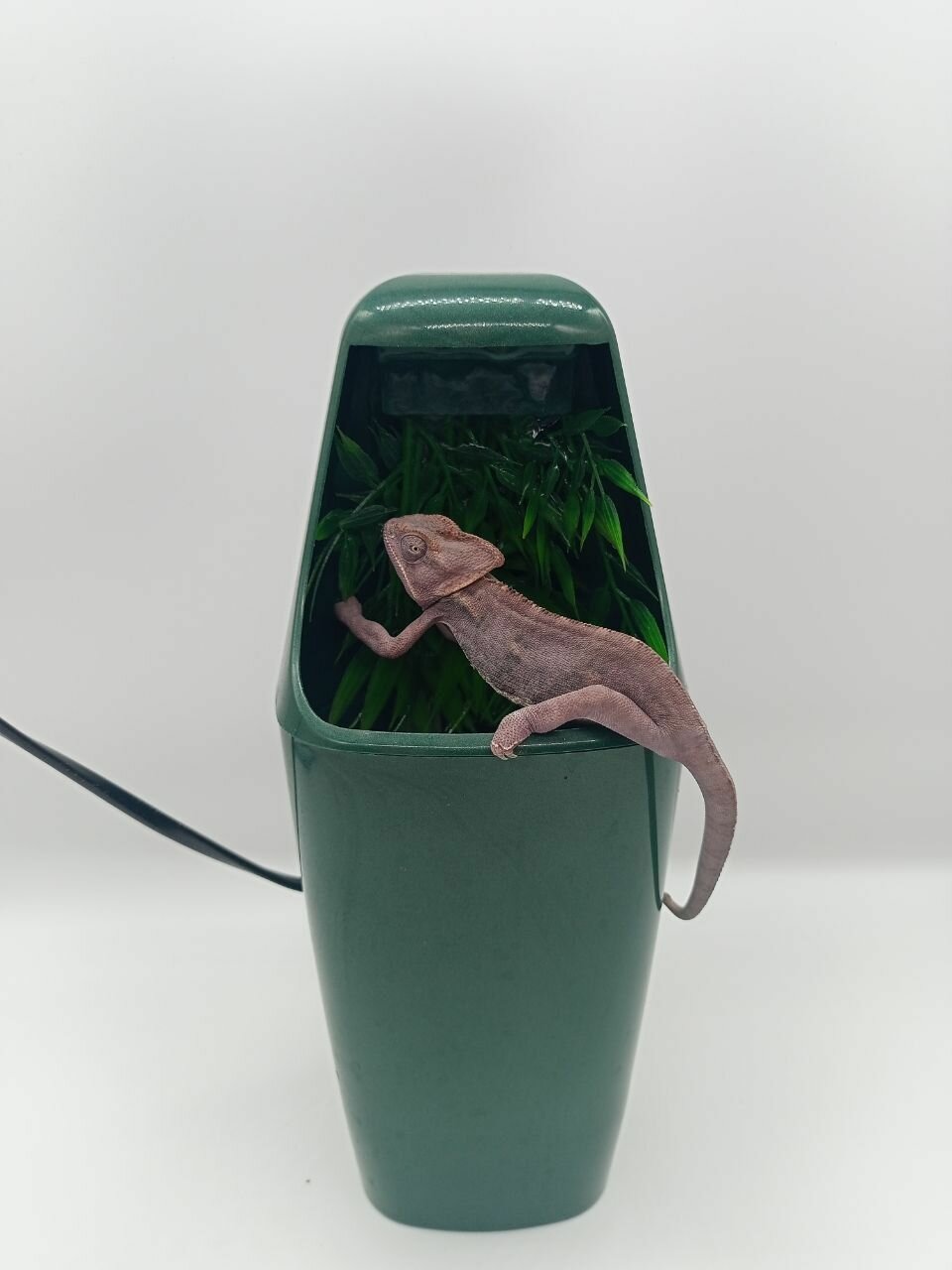 Водопад для террариума — фото 1