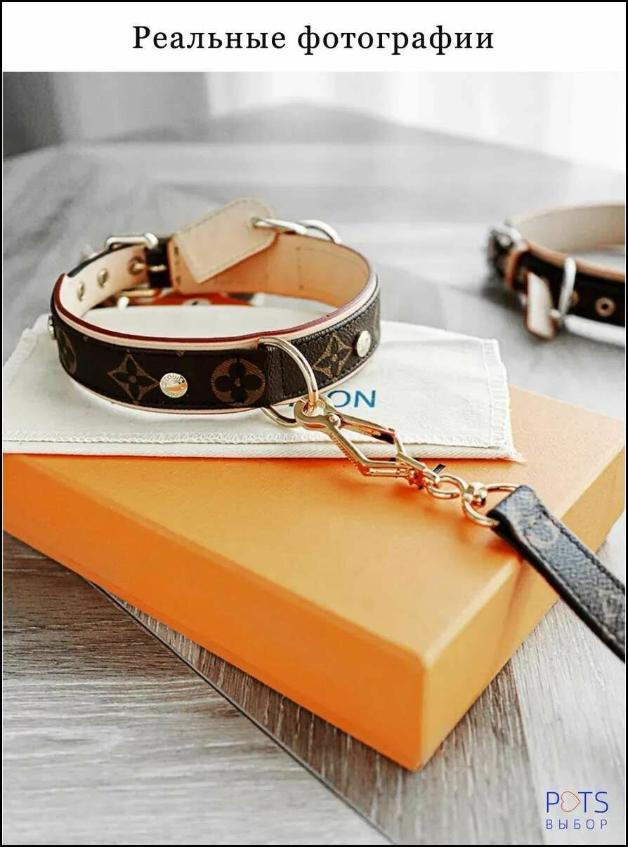 Стильный комплект самодельных ошейников для собак Louis Vuitton Baxter Set11