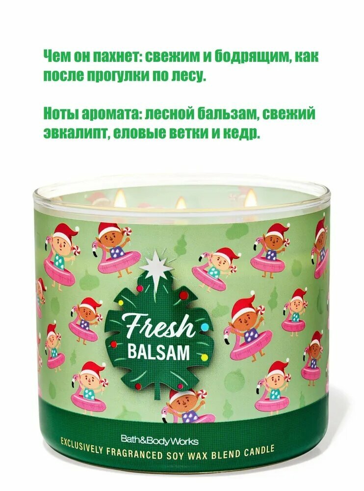 KNOW EASY-Bath and Body Works Свеча ароматическая "Чем он пахнет: свежим и бодрящим, как после прогулки по лесу. Ноты аромата: лесной бальзам, свежий эвкалипт, еловые ветки и кедр.", 9 см х 10 см, 1 шт