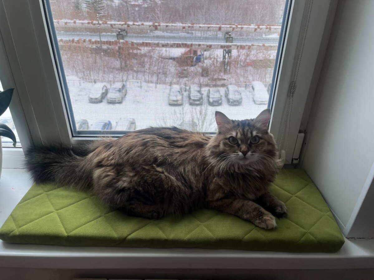 Лежанка 29*65 на узкий подоконник. Антискользящая