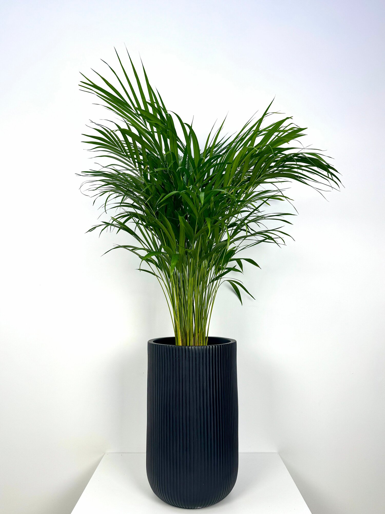 Кашпо напольное для цветов, TREEZ ERGO Jet, высокий цилиндр, черный антрацит, керамический горшок, 37*55 см, 59 л