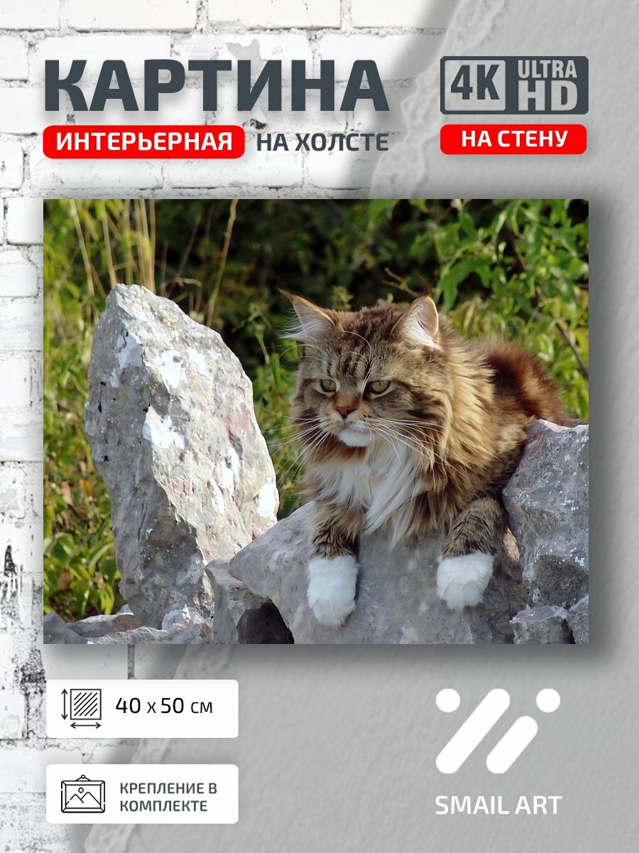 Картина на холсте интерьерная 40 на 50 на стену Камне Animal для кафе animal style интерьер