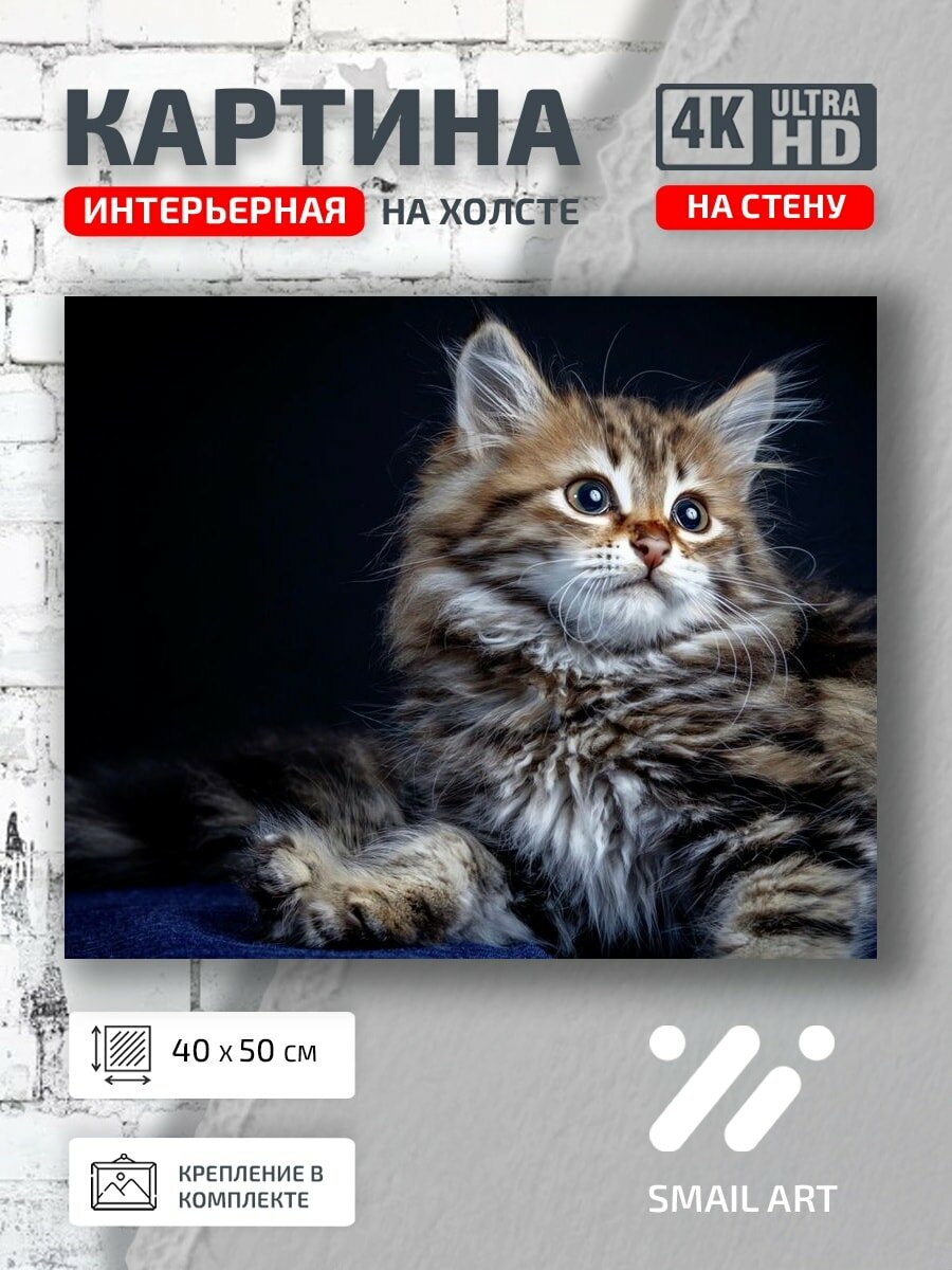 Картина на холсте интерьерная 40 на 50 на стену Животные пушистик для гостиной атмосфера