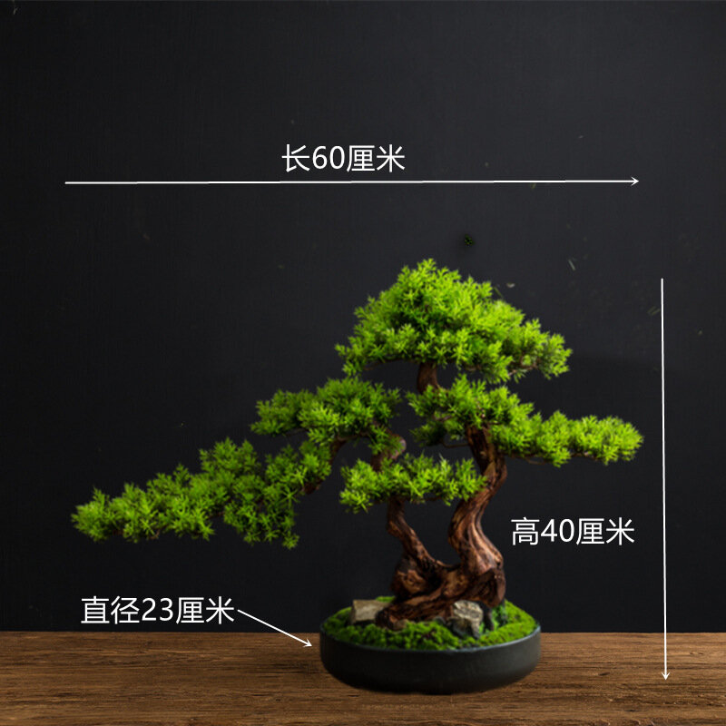 Растение для украшения "Бонсай", черная сосна, массив дерева, зеленые листья,