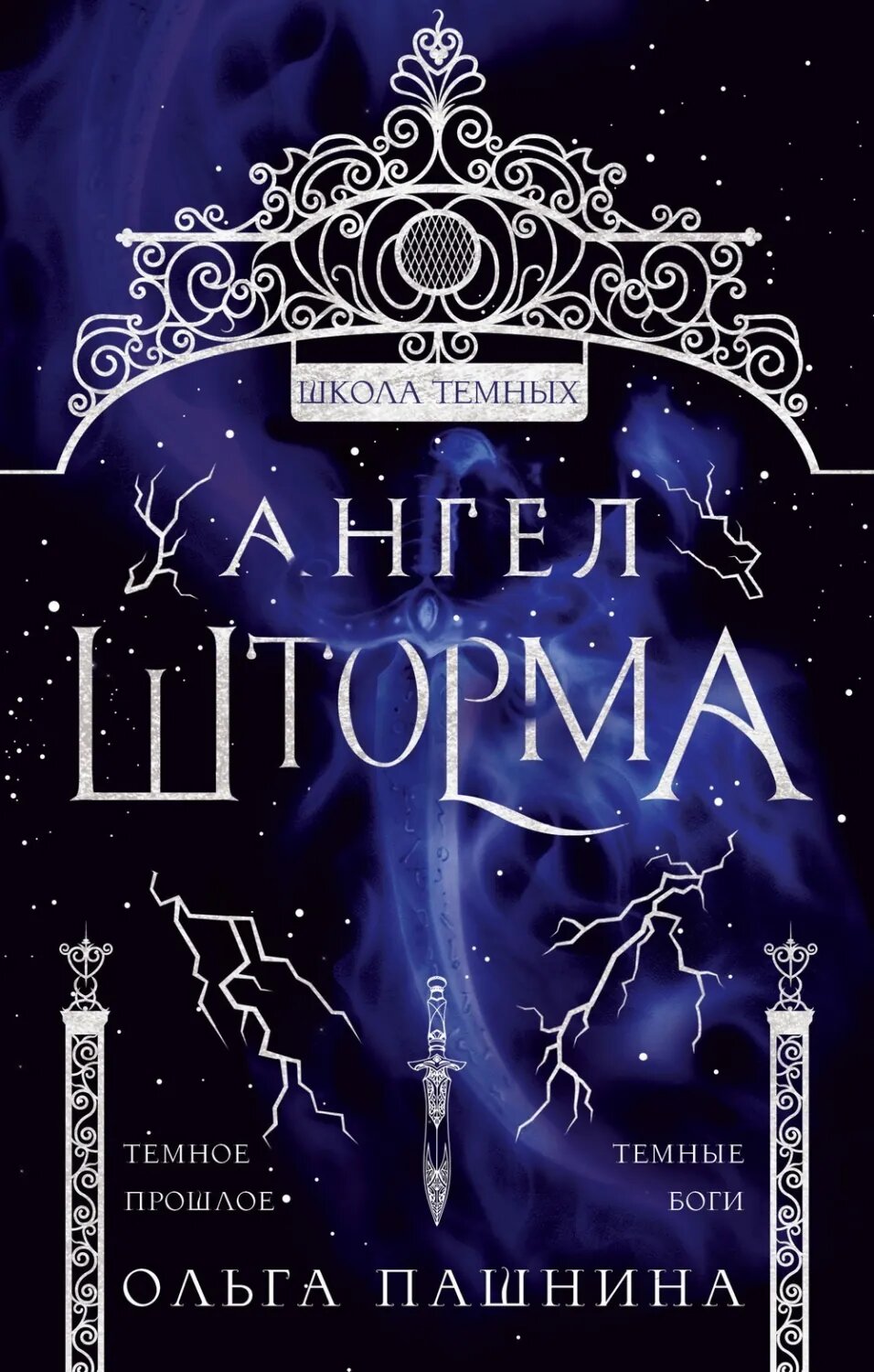 Школа темных. Ангел шторма [Цифровая книга]