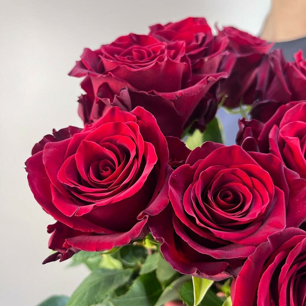 Букет красных роз 15шт 80см красивые элегантные цветы бордовые