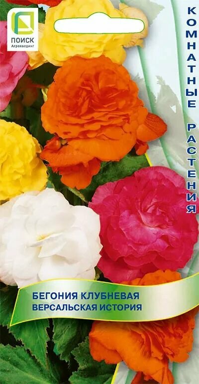 Бегония Версальская история 15 клубневая, Семена Поиск
