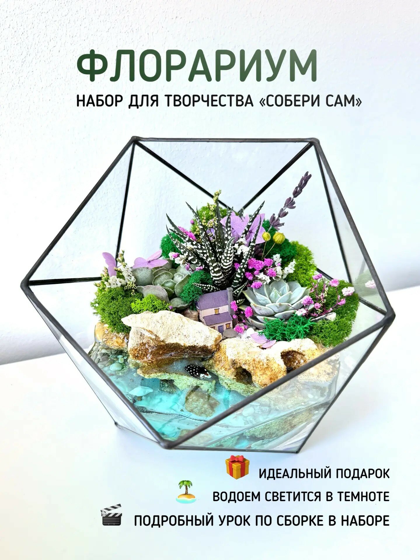 Подарочный набор триветки "Собери Сам", флорариум с водоемом, 15х19 см