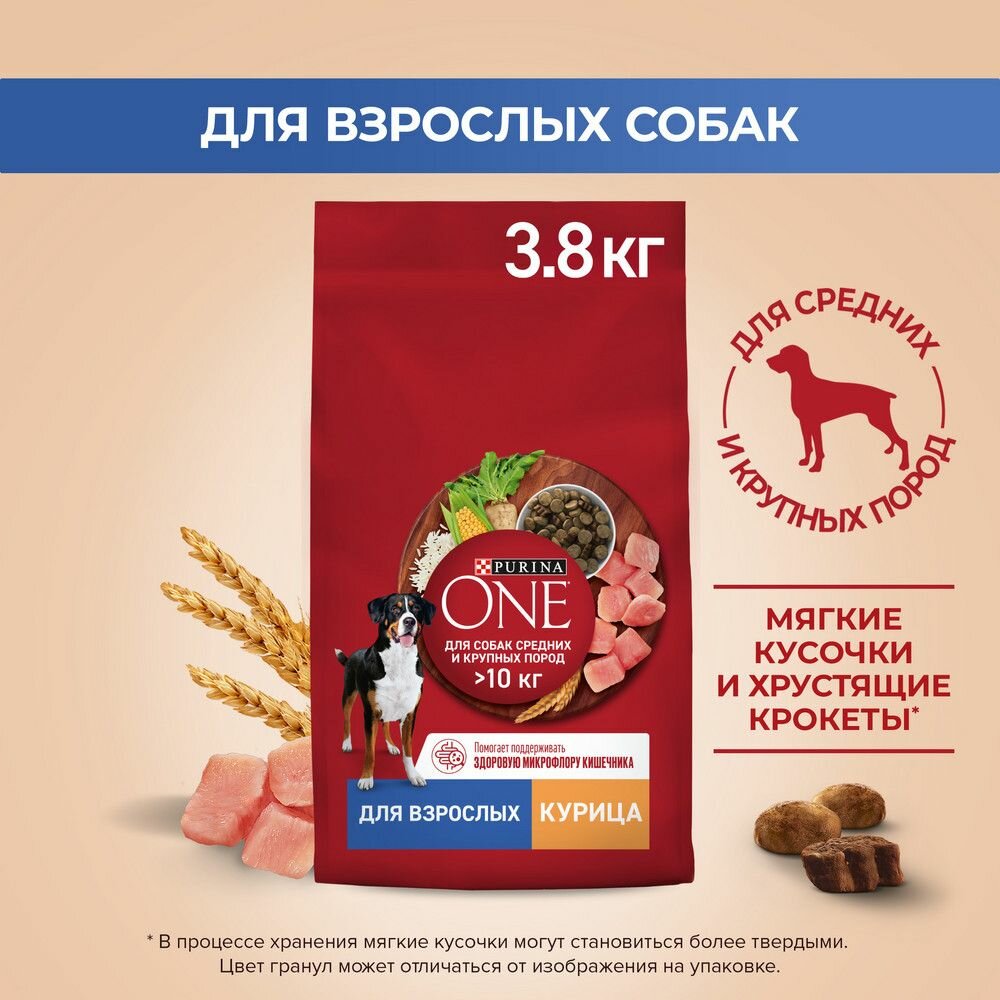 Сухой корм Purina ONE для взрослых собак средних и крупных пород, с высоким содержанием курицы и с рисом, Пакет, 3,8 кг