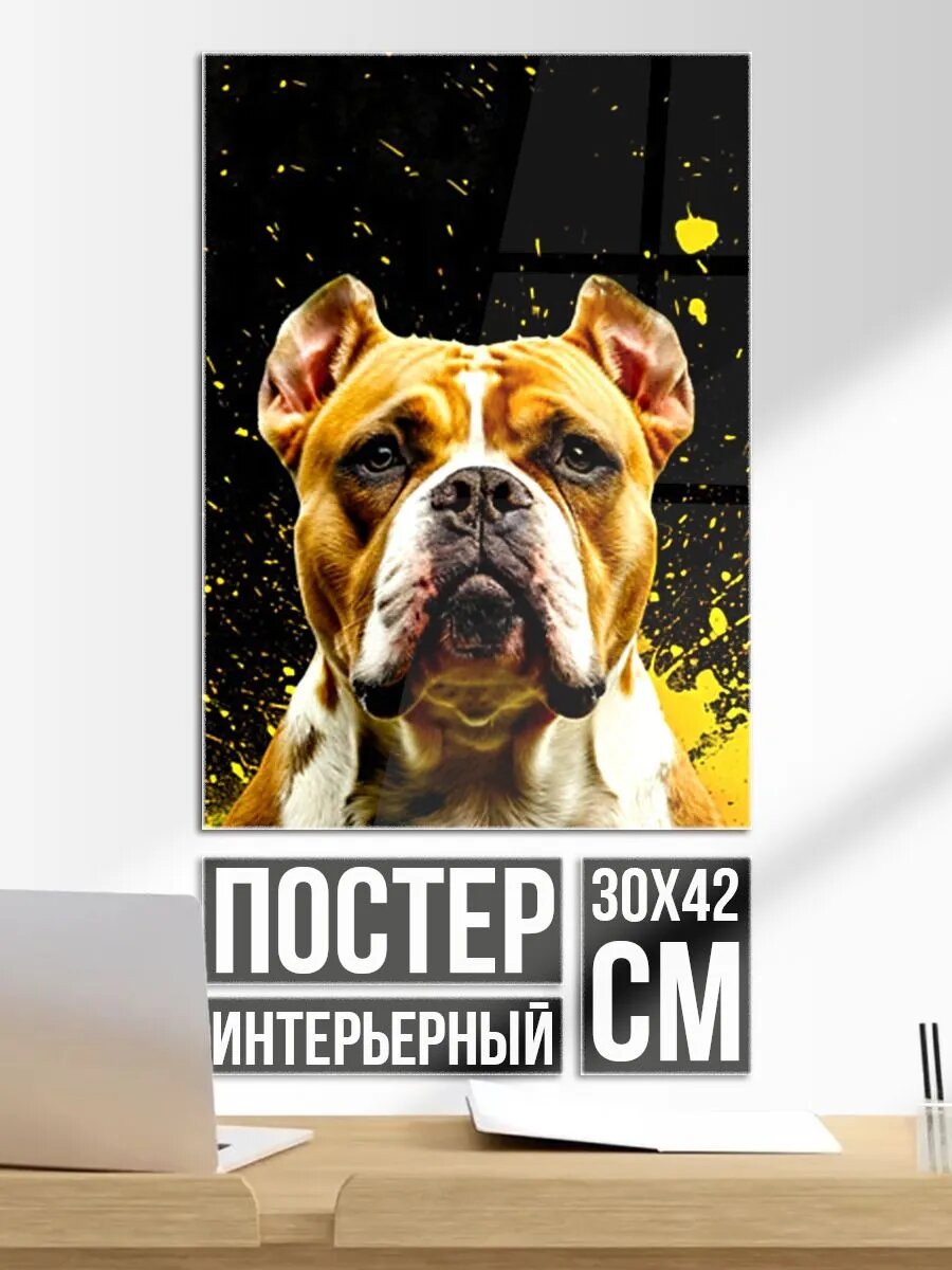 Постер на стену Американский булль на черном с желтым