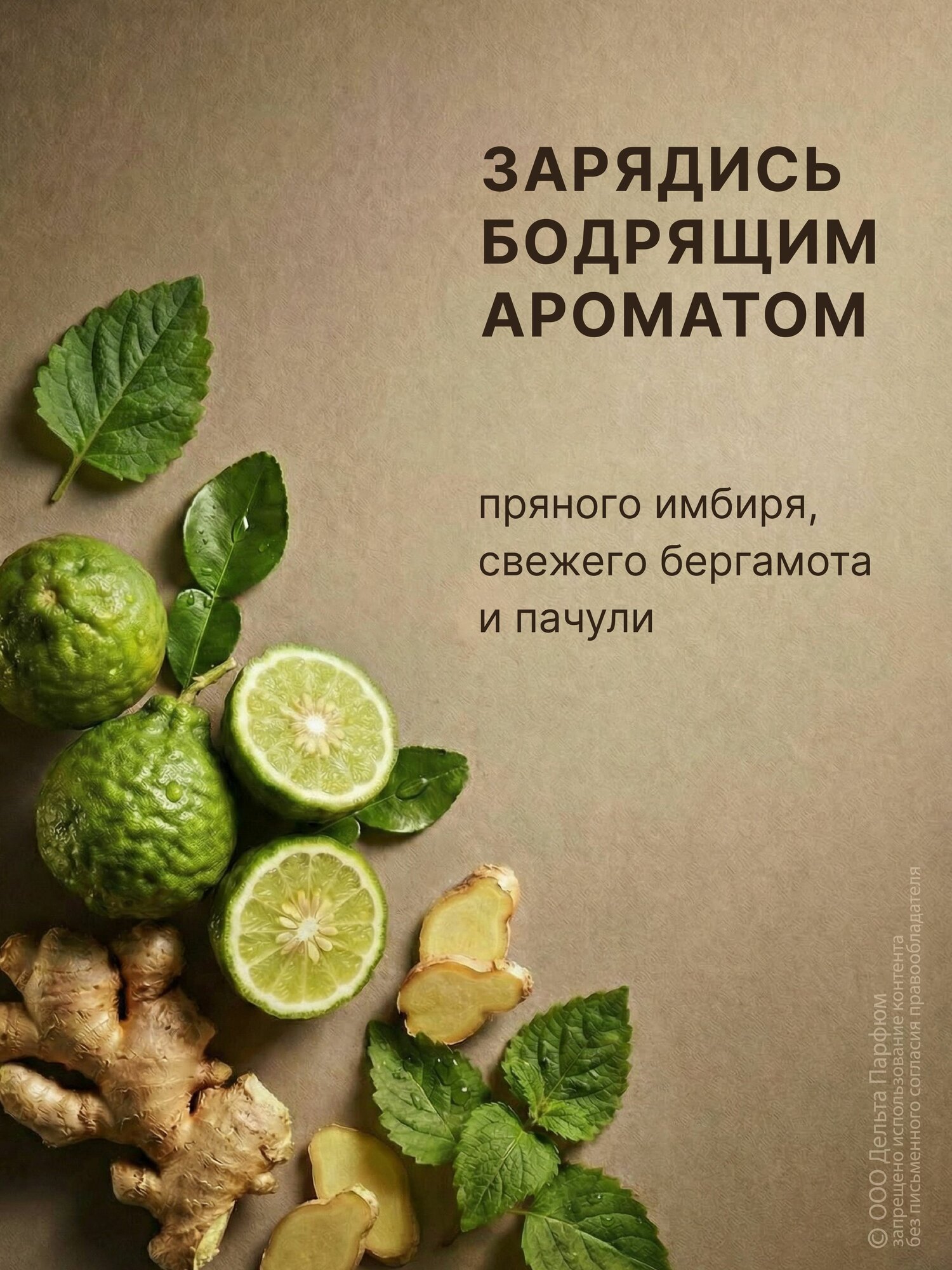 Скраб для тела антицеллюлитный Имбирь, бергамот, пачули , 300 г. Солевой