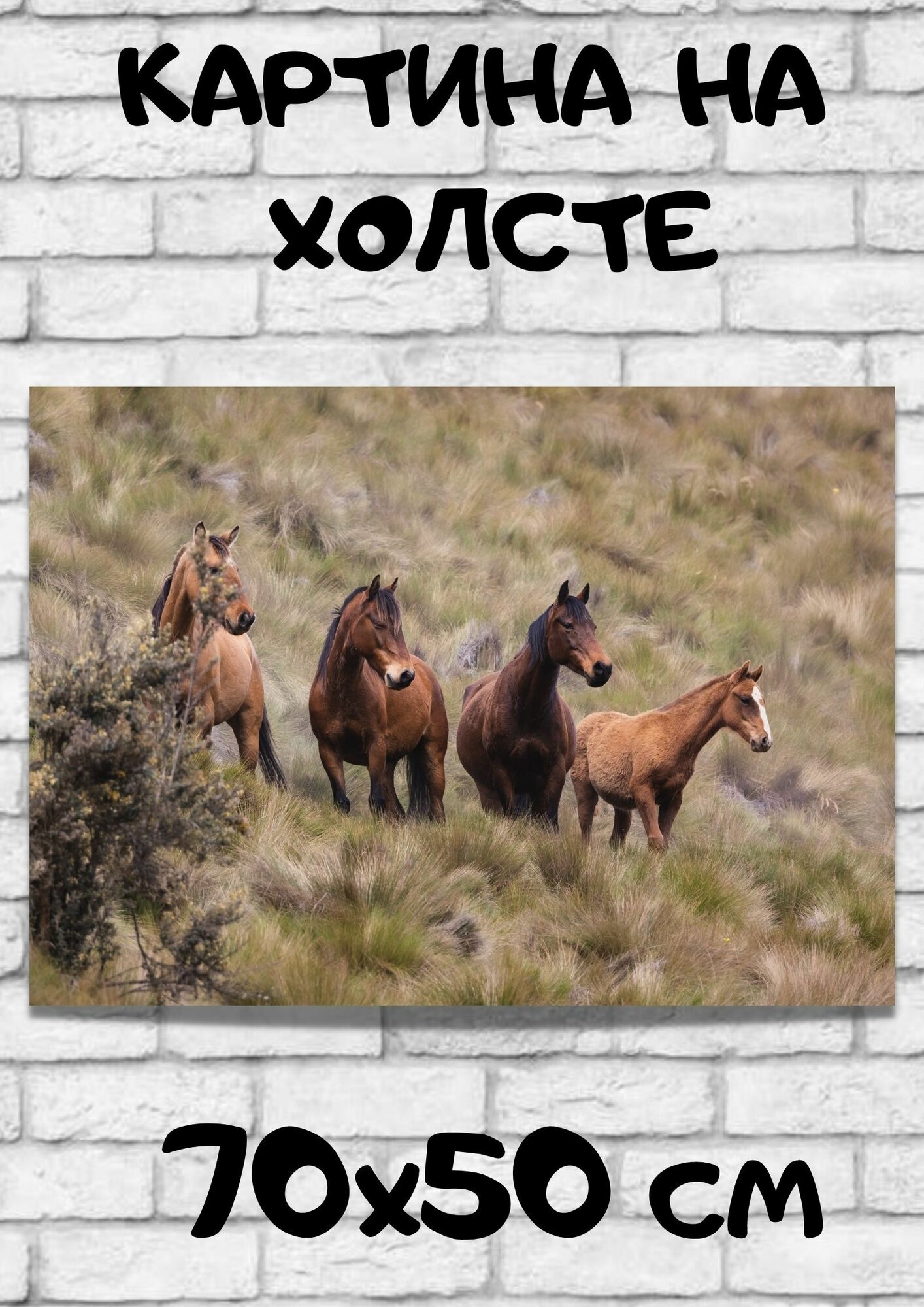 Готовая картина с красивой лошадью на природе / Конь картина