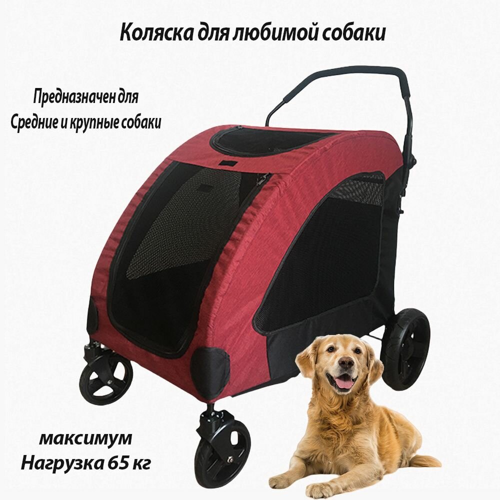 Автобокс для животных