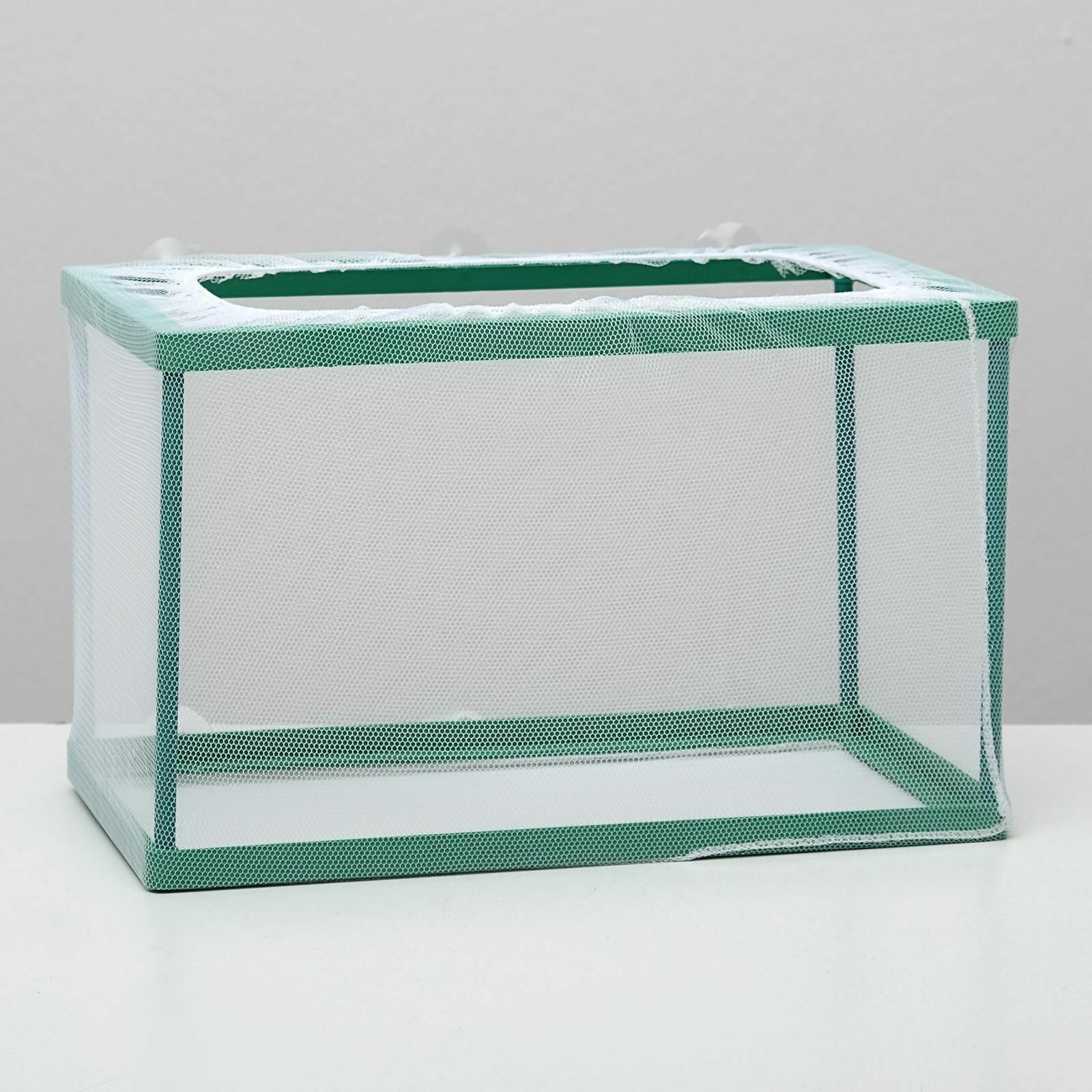 Отсадник для аквариумных рыб Barbus Accessory 006, сетчатый, с присосками, размер 26х15х15 см