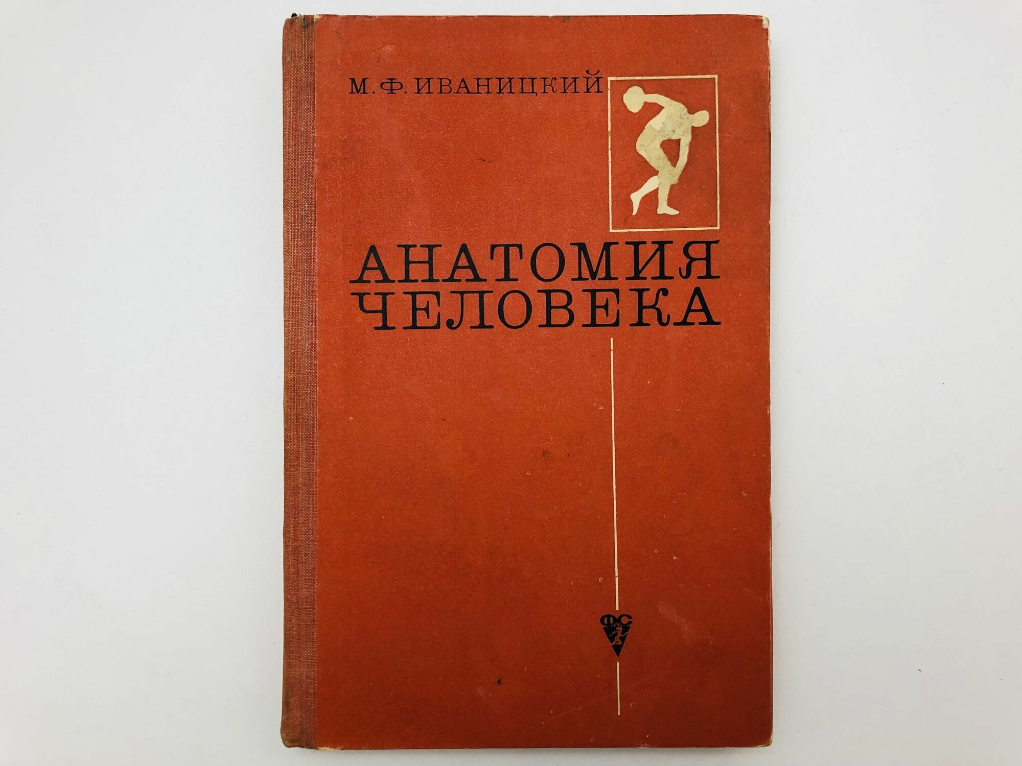 Анатомия человека. Краткий курс