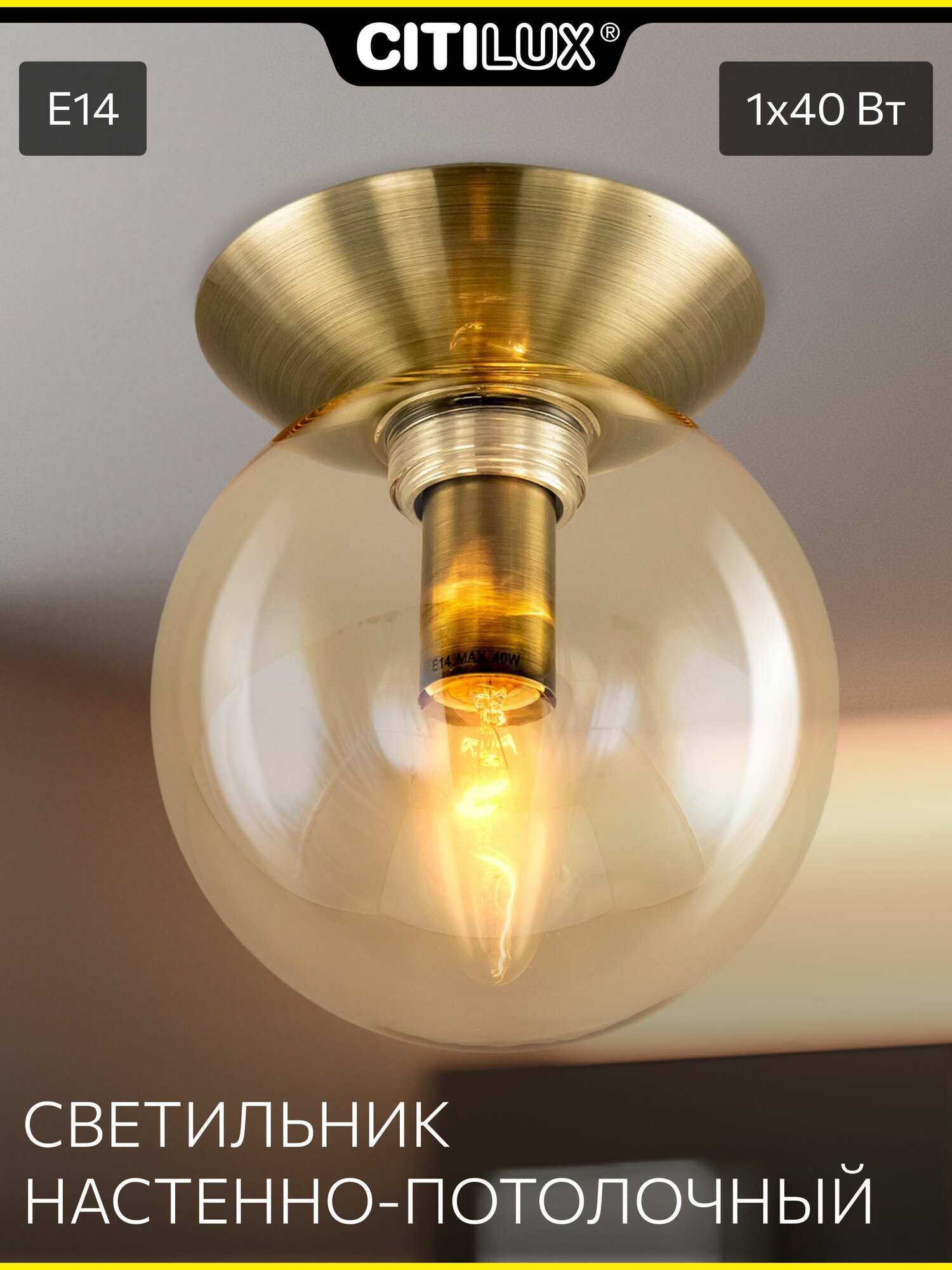 Светильник настенно-потолочный Citilux Томми CL102513