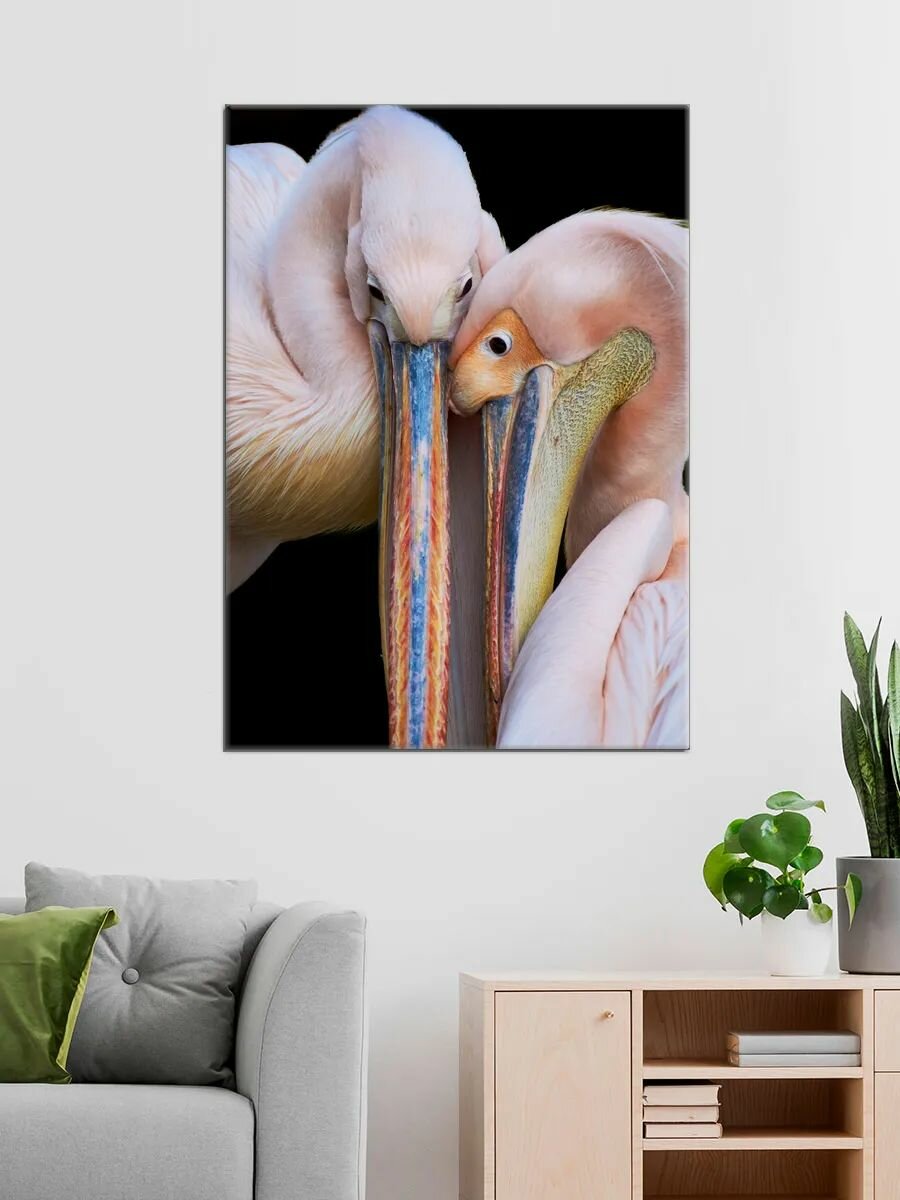 Картина на стену "Птицы с ярким окрасом", 30х40 см