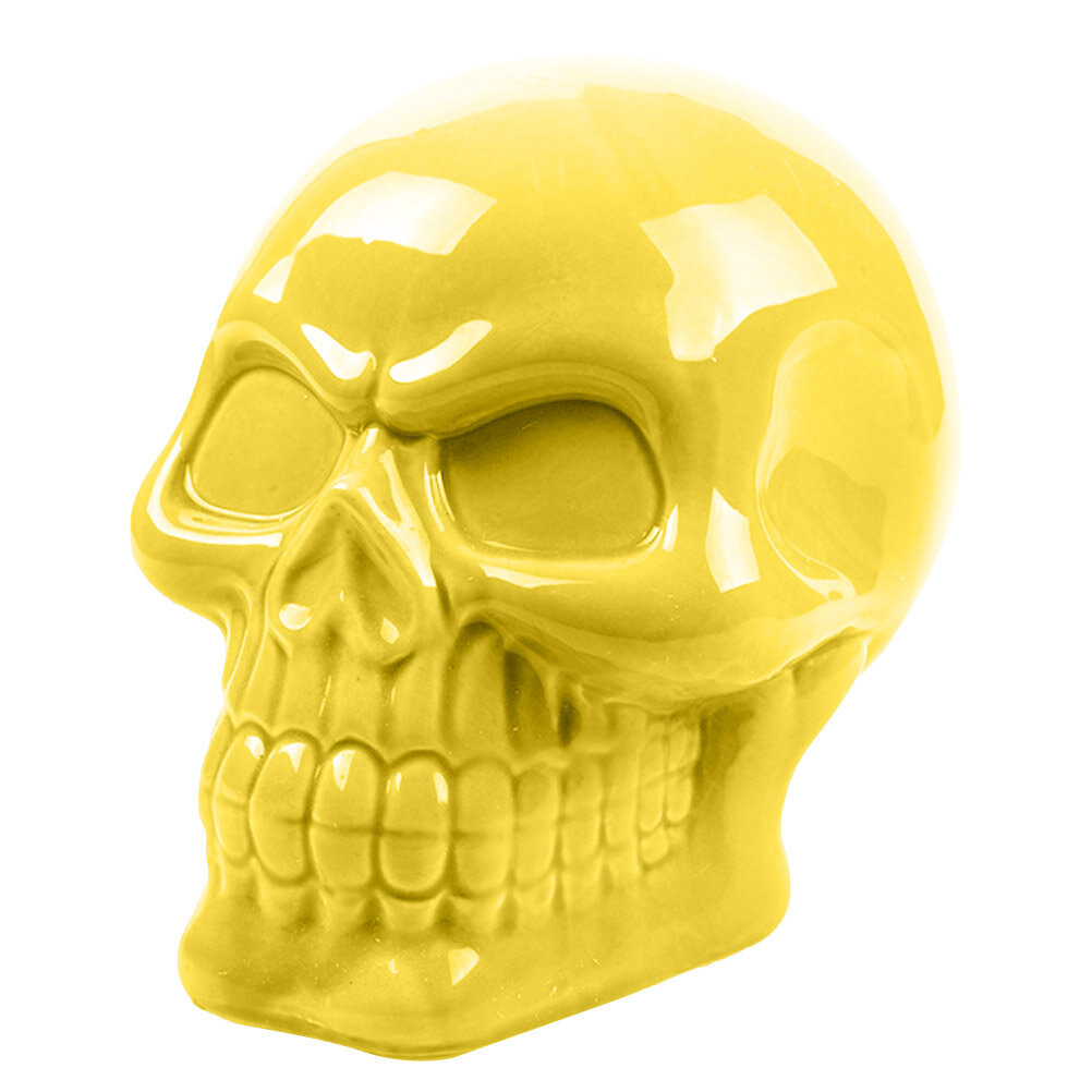 Детская коробка для денег в виде черепа, прочная и яркая, размер 14x12x10 см, для хранения