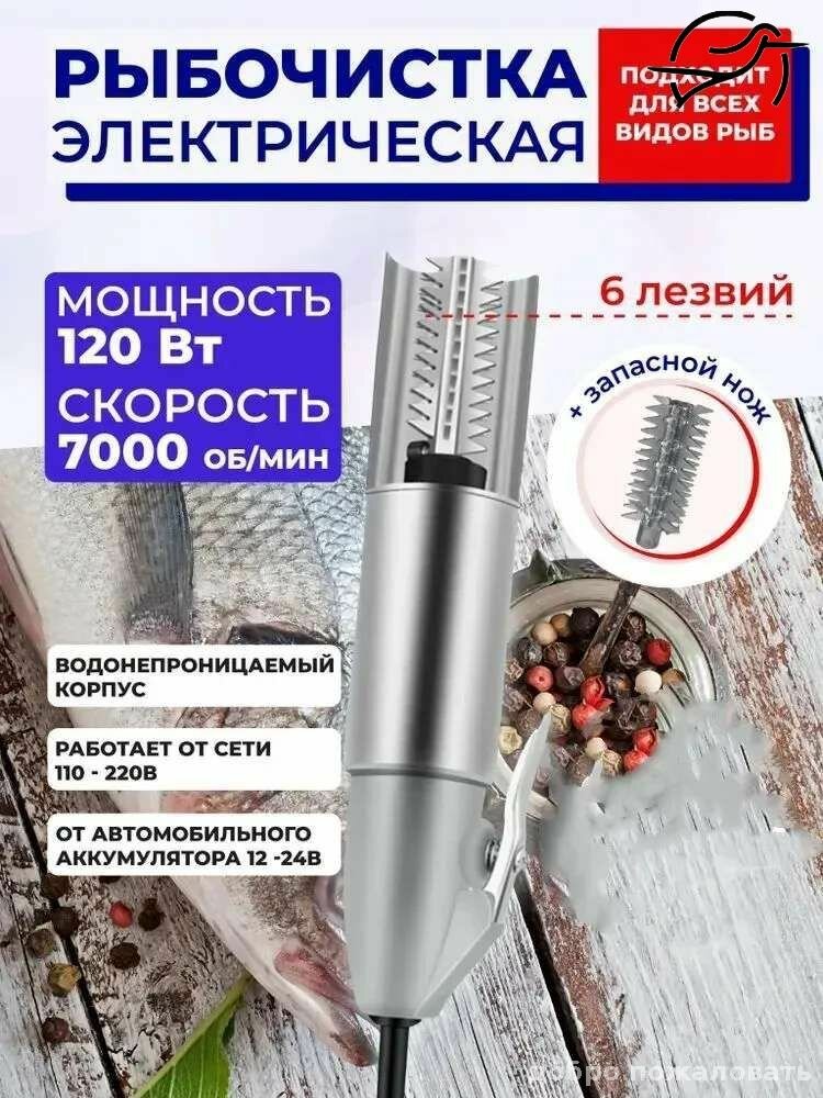 Эксклюзивный скейлер 220 и 12 Вольт для эффективной очистки рыбы