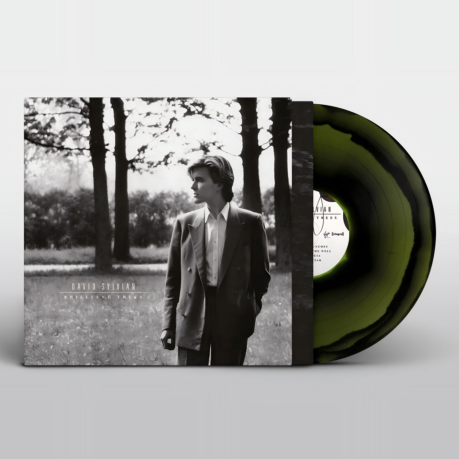 Виниловая Пластинка David Sylvian - Brilliant Trees /> Vinyl, LP, Album