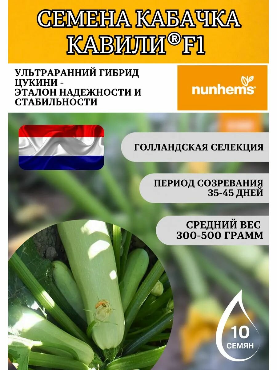 Семена кабачка Кавили F1 10 шт