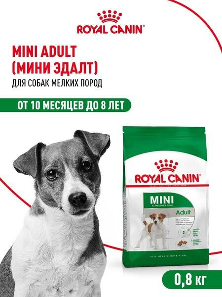 ROYAL CANIN MINI ADULT 800 г корм для собак мелких пород с 10 месяцев до 8 лет
