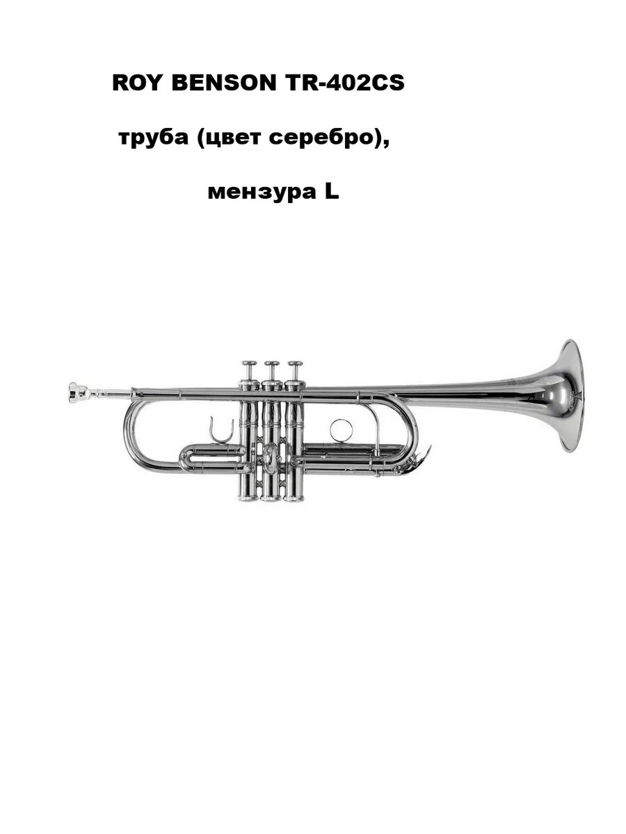 ROY BENSON TR-402CS - труба (цвет серебро)