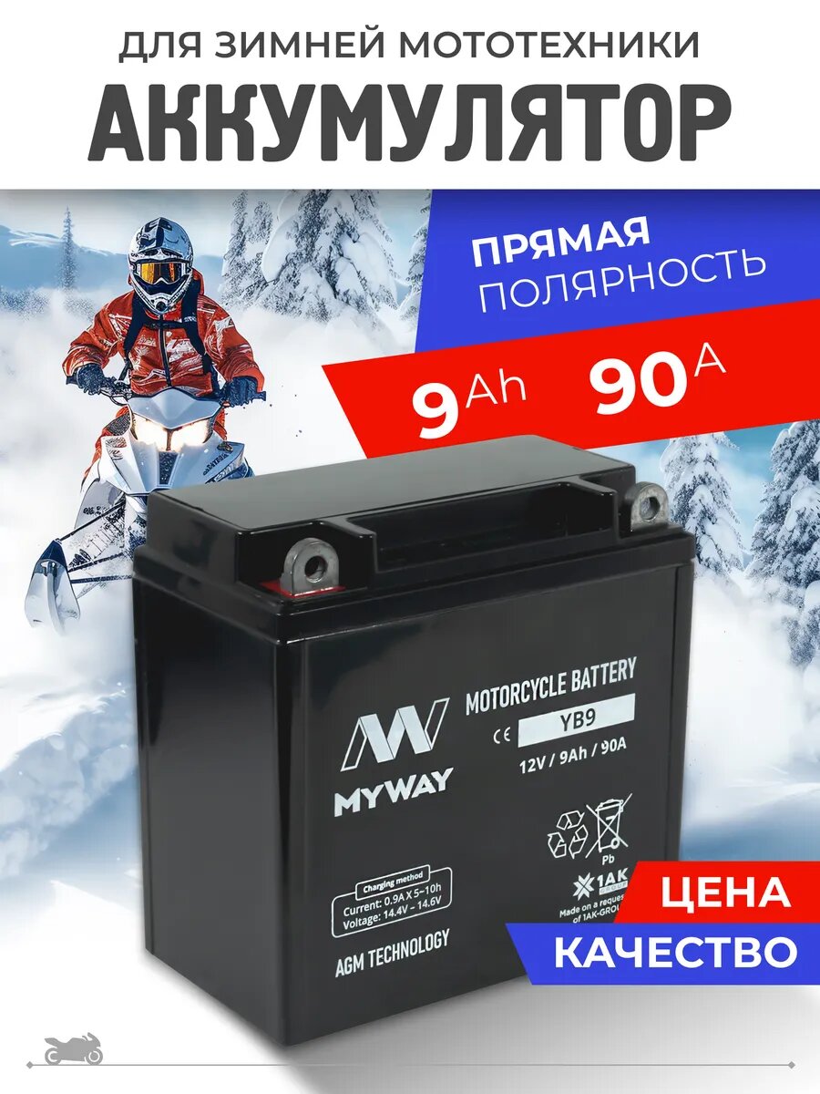 Аккумулятор 12v 9ah на мотоцикл, мопед, скутер, мотоблок AGM