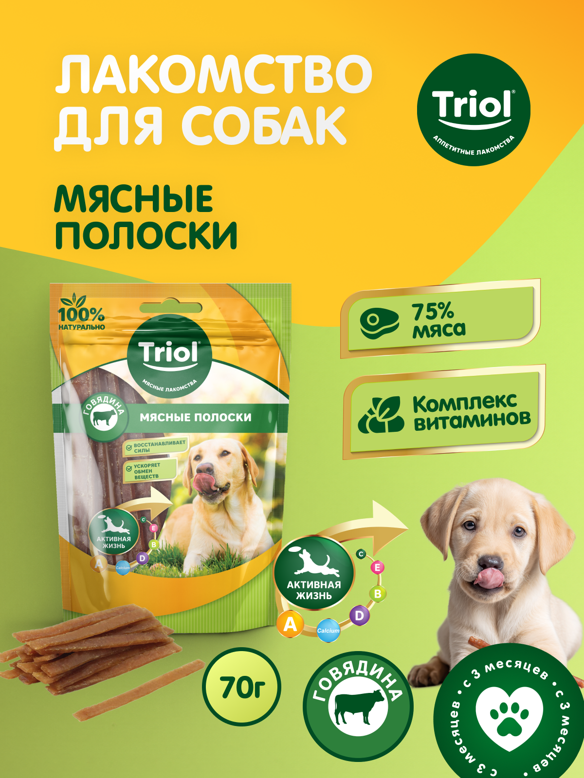 Лакомства для собак Triol «Мясные полоски из говядины» с витаминами, 70г