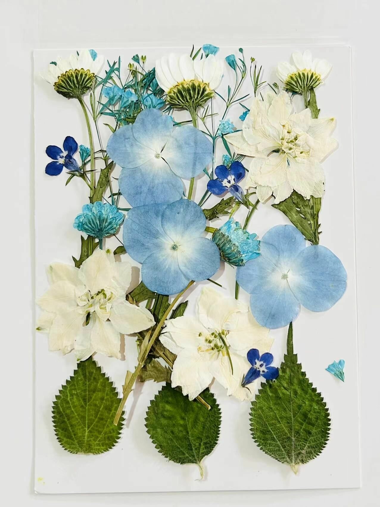 Сушеные цветы для эпоксидной смолы