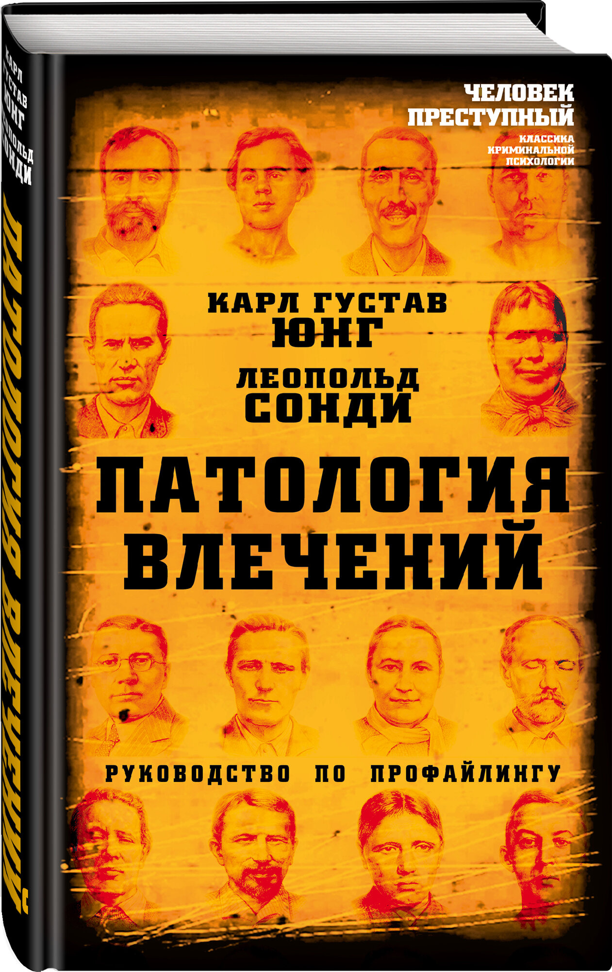 Юнг К. Г, Сонди Л. Патология влечений. Руководство по профайлингу