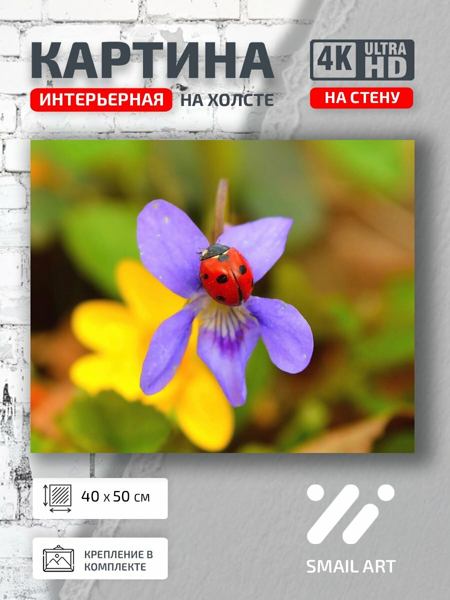 Картина на холсте интерьерная 40 на 50 на стену Фон Macro для гостиной макро интерьер декор