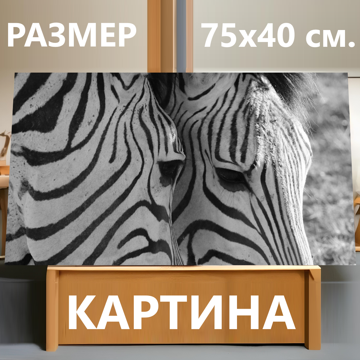 Картина на холсте "Зебра, зебры, гартмана" на подрамнике 75х40 см. для интерьера
