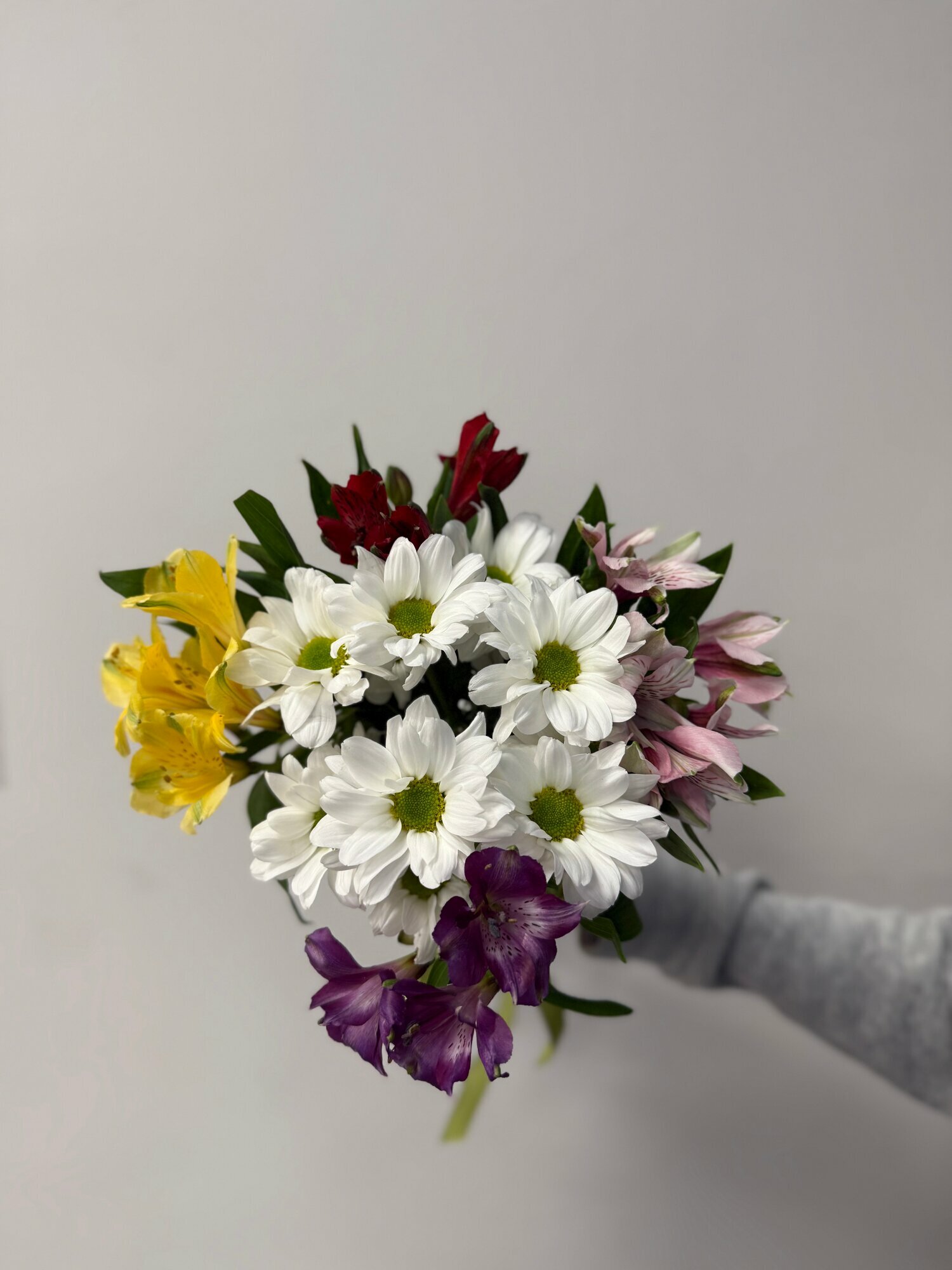 Букет из 1 кустовой хризантемы и 5 альстромерий микс, под ленту, 50 см | Турбофлора